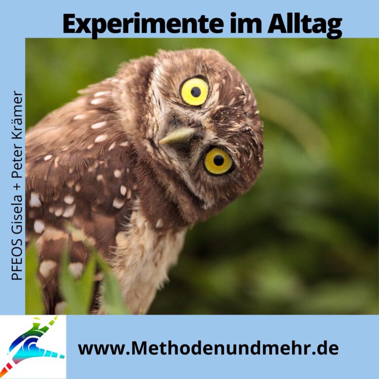 Feedback | Reflexion Archive - Methoden und mehr