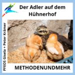 Der Adler im Hühnerhof