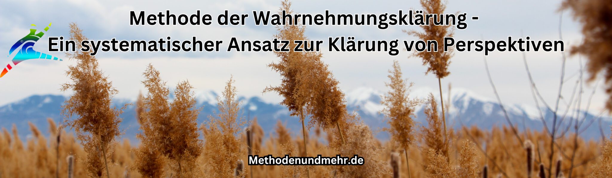 Wahrnehmungsklärung (Perzeptionsklärung) - Ein systematischer Ansatz